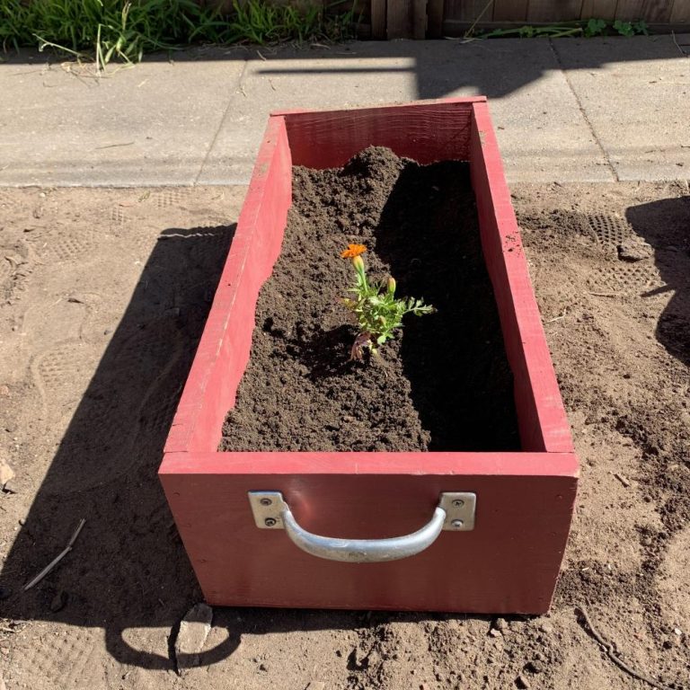 Planting Your Own Garden – Maker Ed